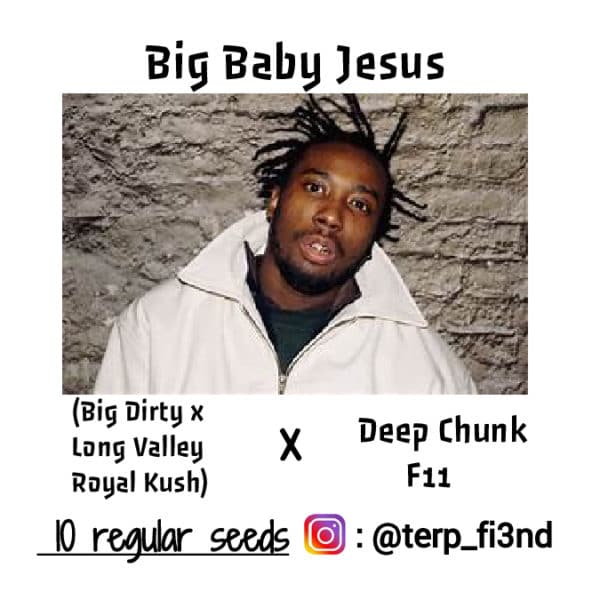 Big Baby Jesus - terpfi3nd genetics